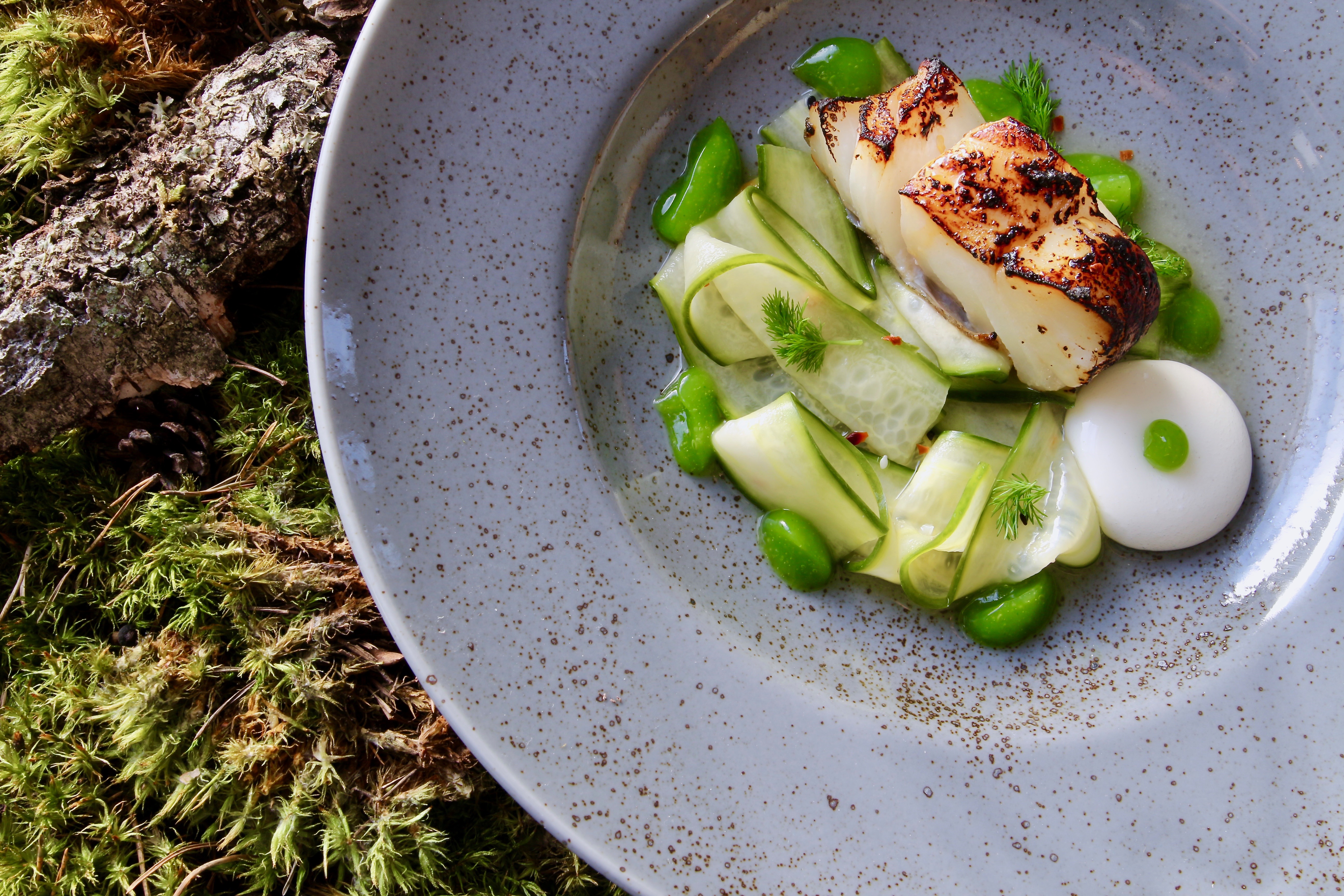 Black cod med snabbpicklad asiatisk gurksallad och yoghurtssfär